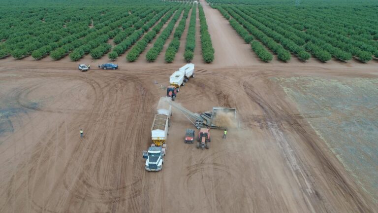 Australian Farming Services - Murray River - Invest River Country